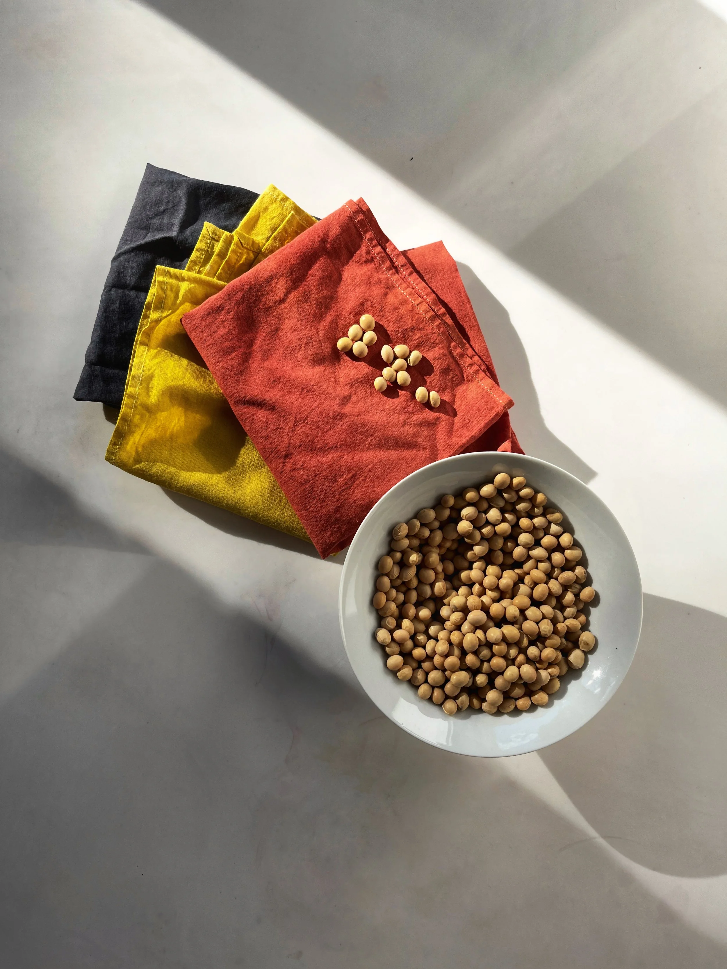 Elucidating Soya Milk for Natural Dyeing — Plants & Colour