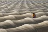Eine halbe Million Einreichungen bei CEWE Photo Award 2019. — FOTOCULT ...