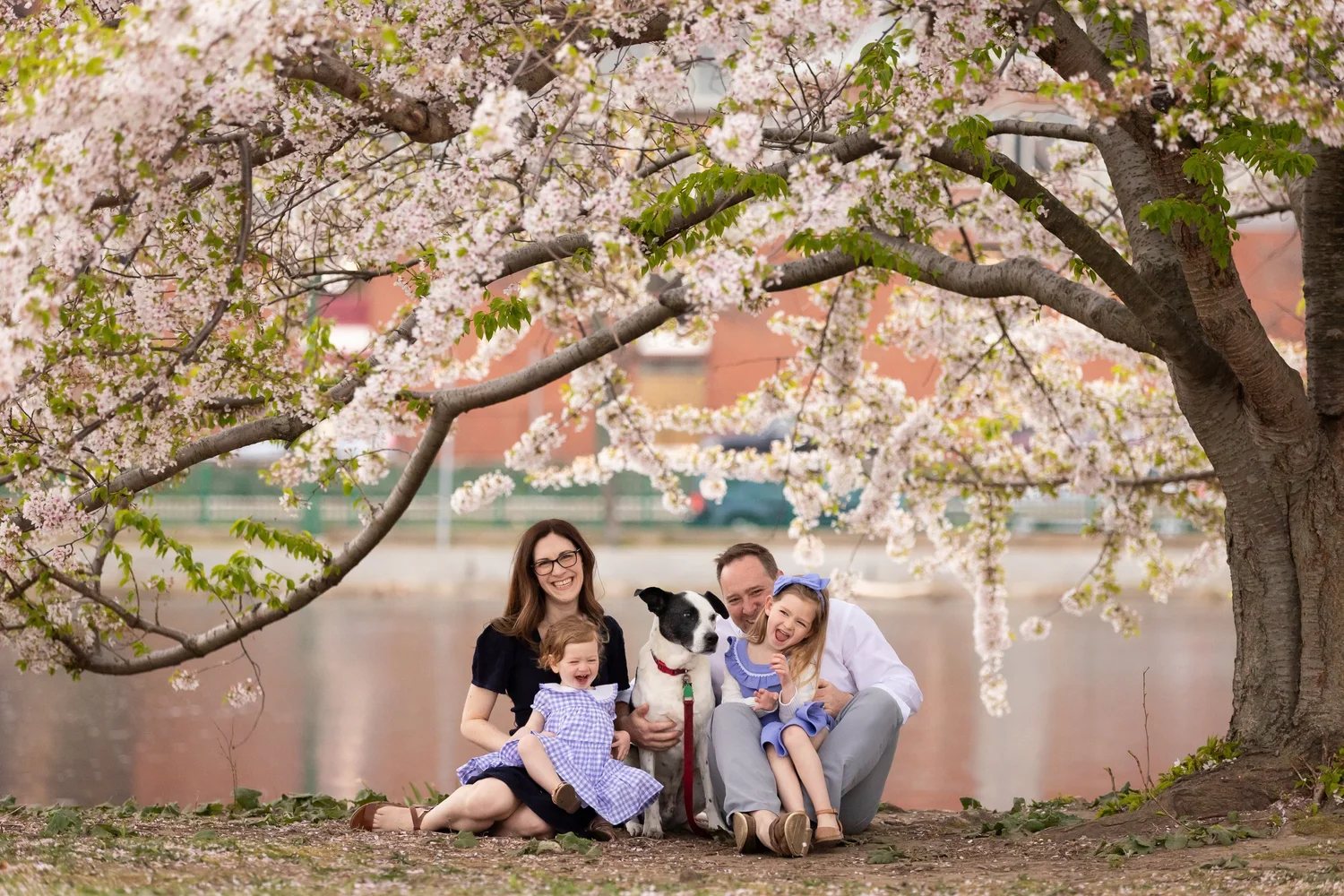 Tips and resources for planning your best photoshoot, Boston family and ...