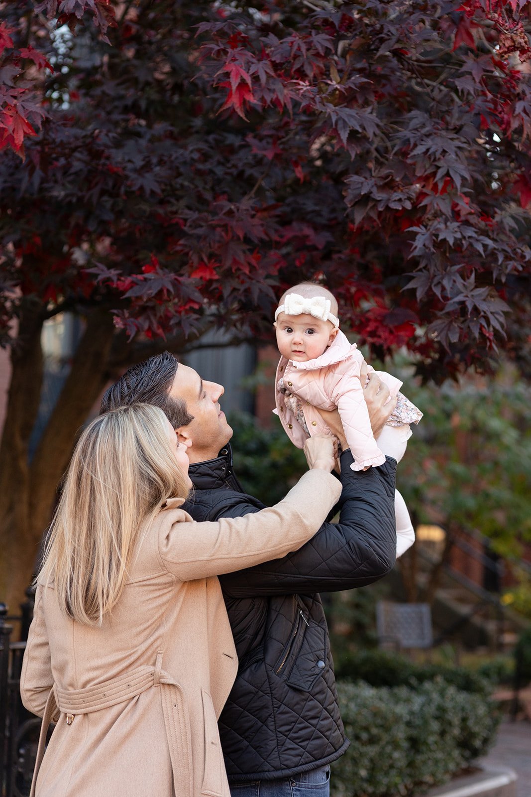 Tips and resources for planning your best photoshoot, Boston family and ...