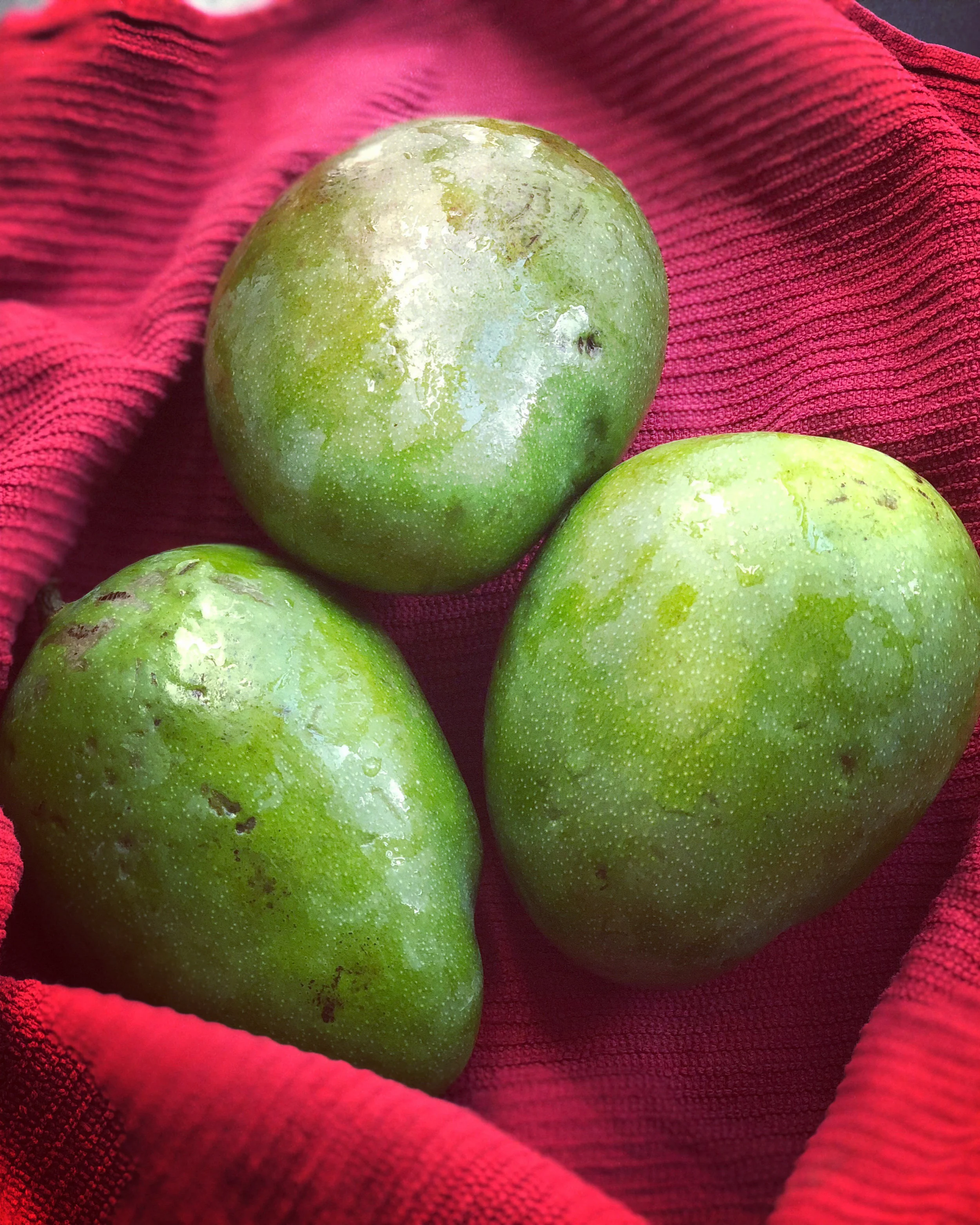 Raw Mango Chutney or Kairichi Dal — Fork n Scissors