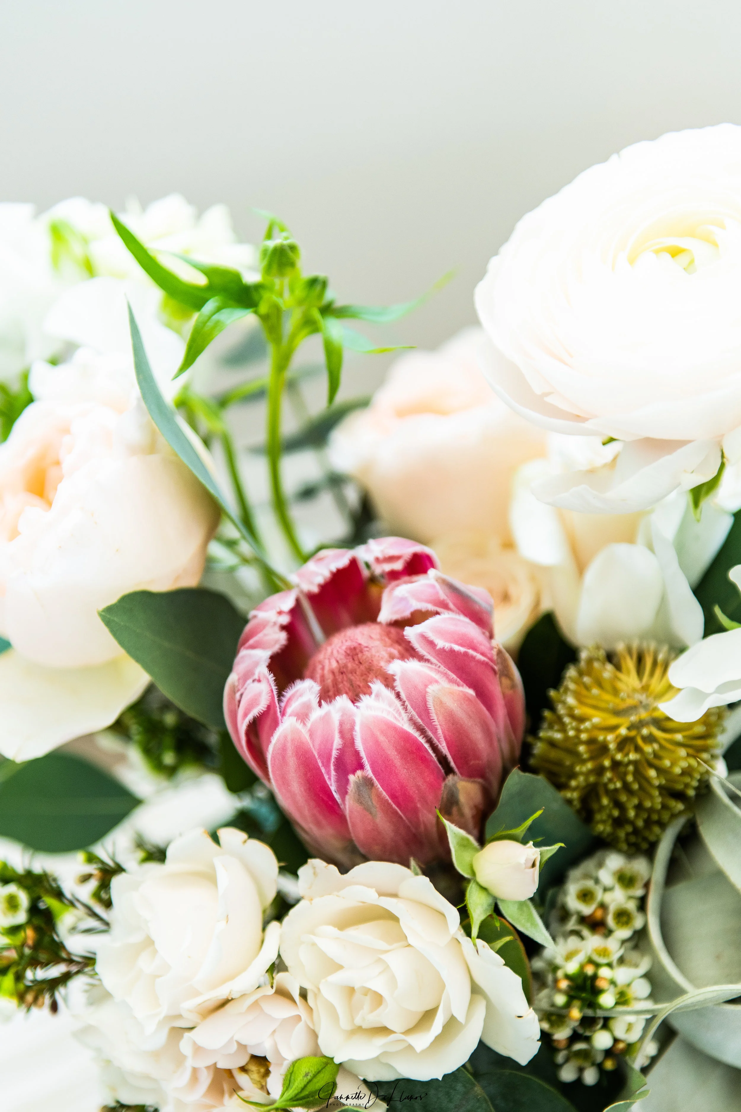 Florida Keys Weddings | Wedding Venues, Decor, Florists — Jannette De ...