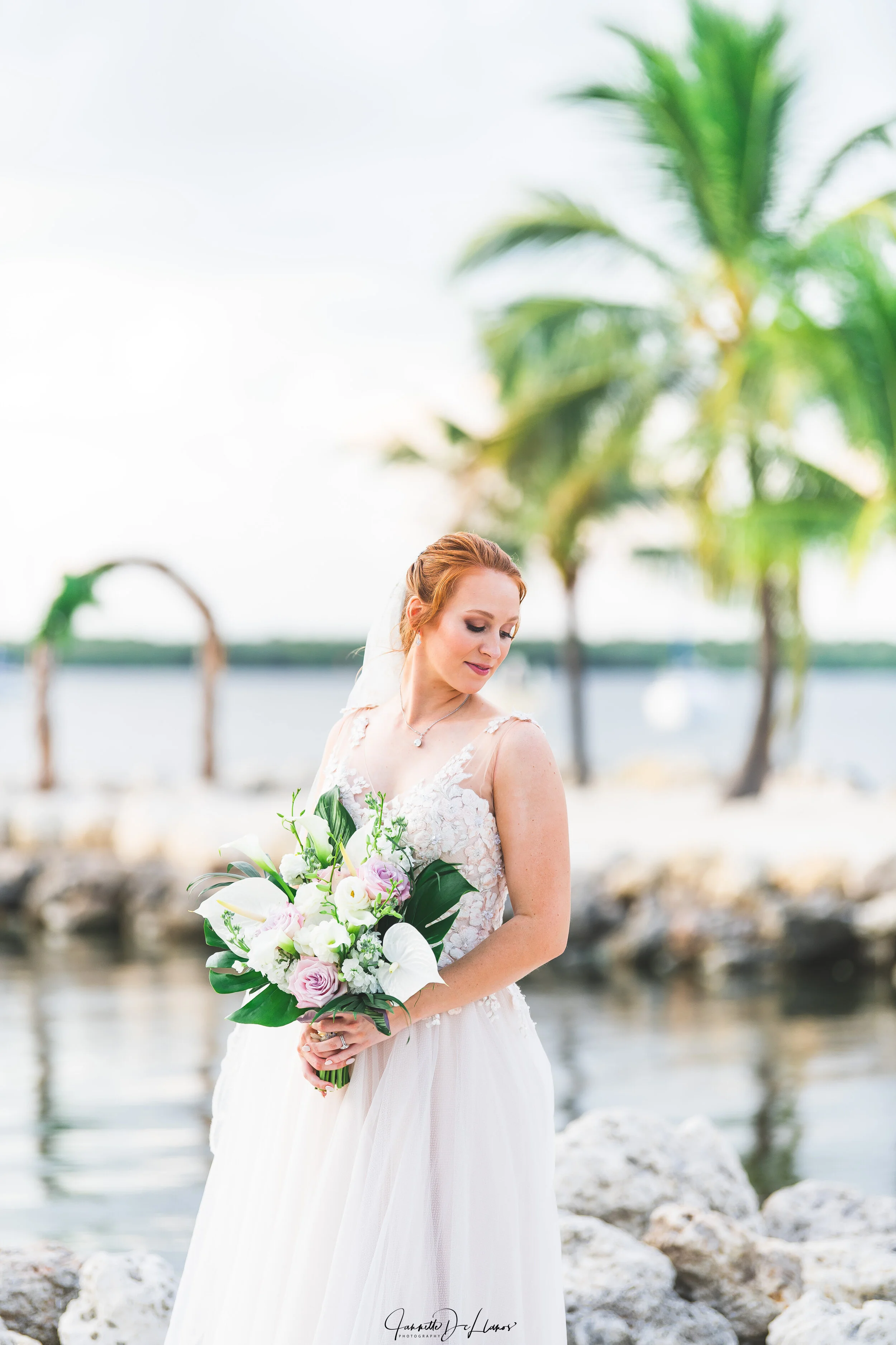 Weddings at Dolphin Point Villas in Key Largo Florida Keys — Jannette ...