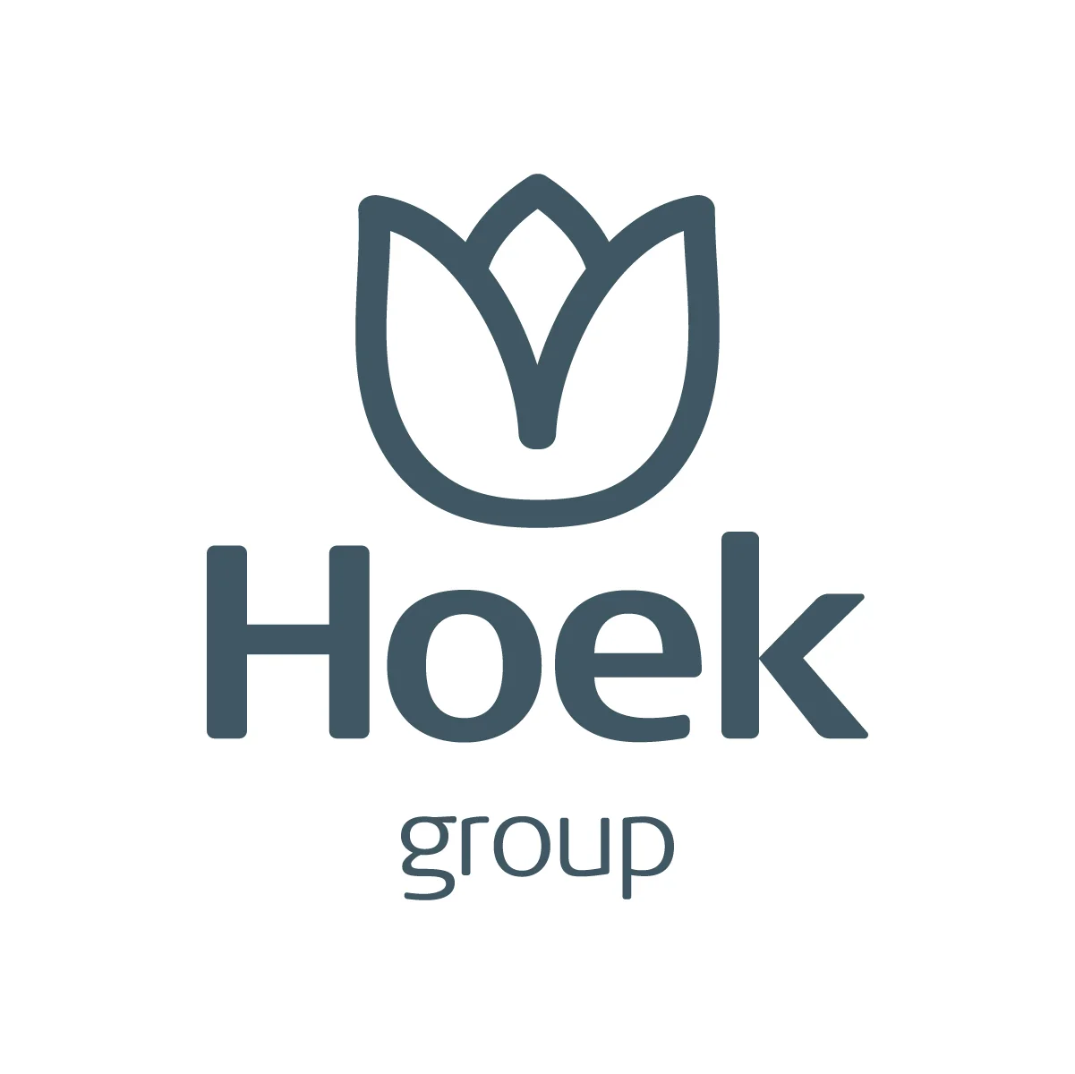 Hoek Group
