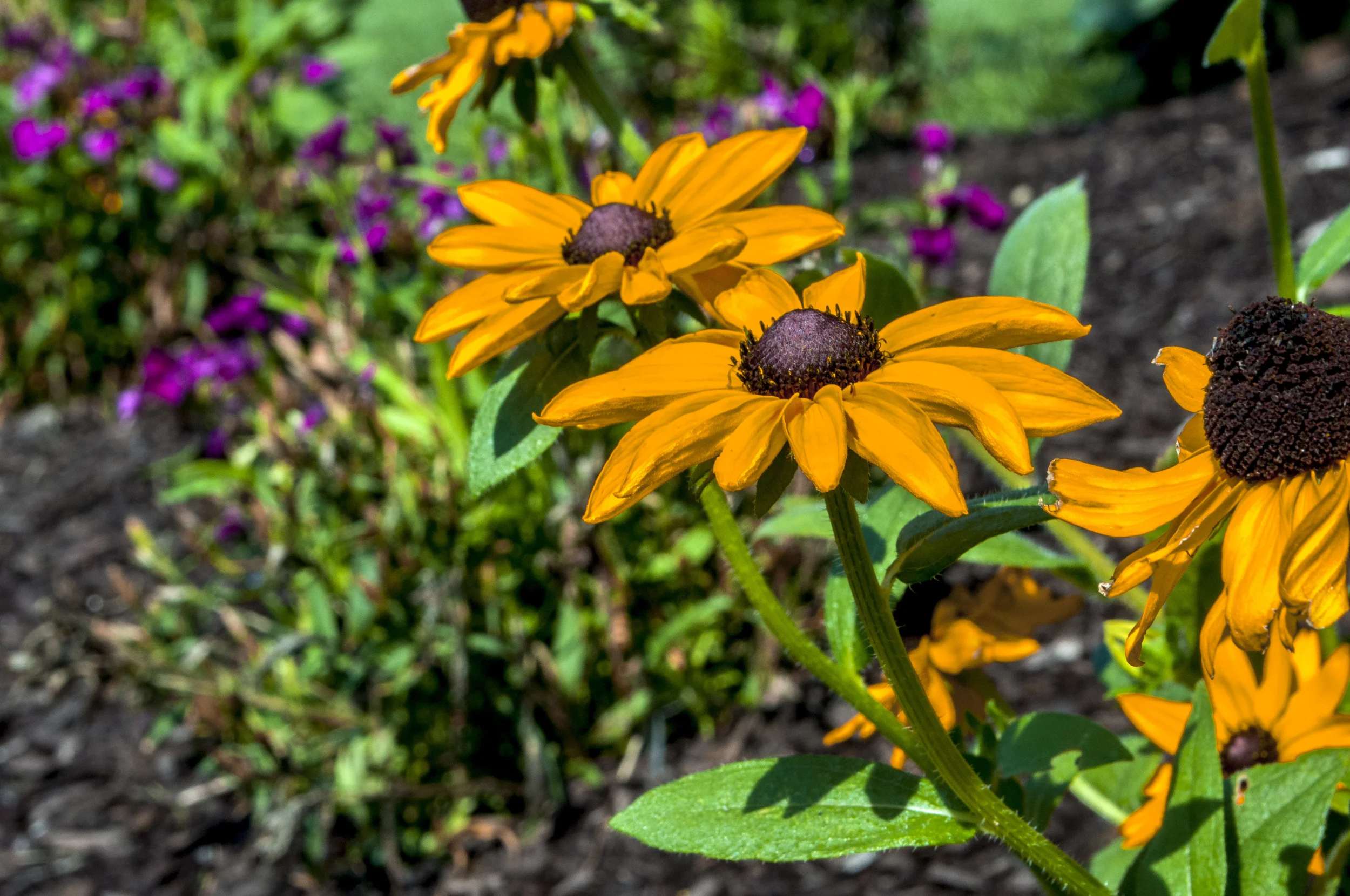 About Us — Howard Landscaping