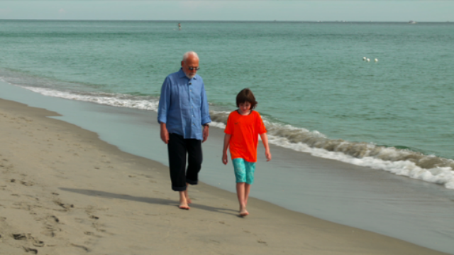 The Palm Beaches — BURT WOLF
