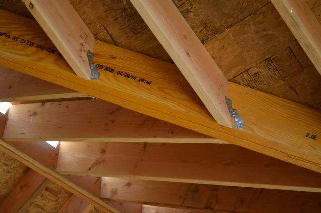 Wind Resistant Building: Protecting Sunset Green Home from the Next ...