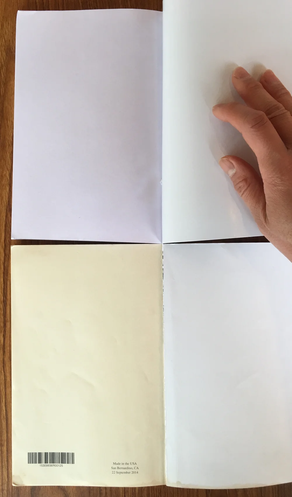 More Counterfeit Books — Lewis C. Lin