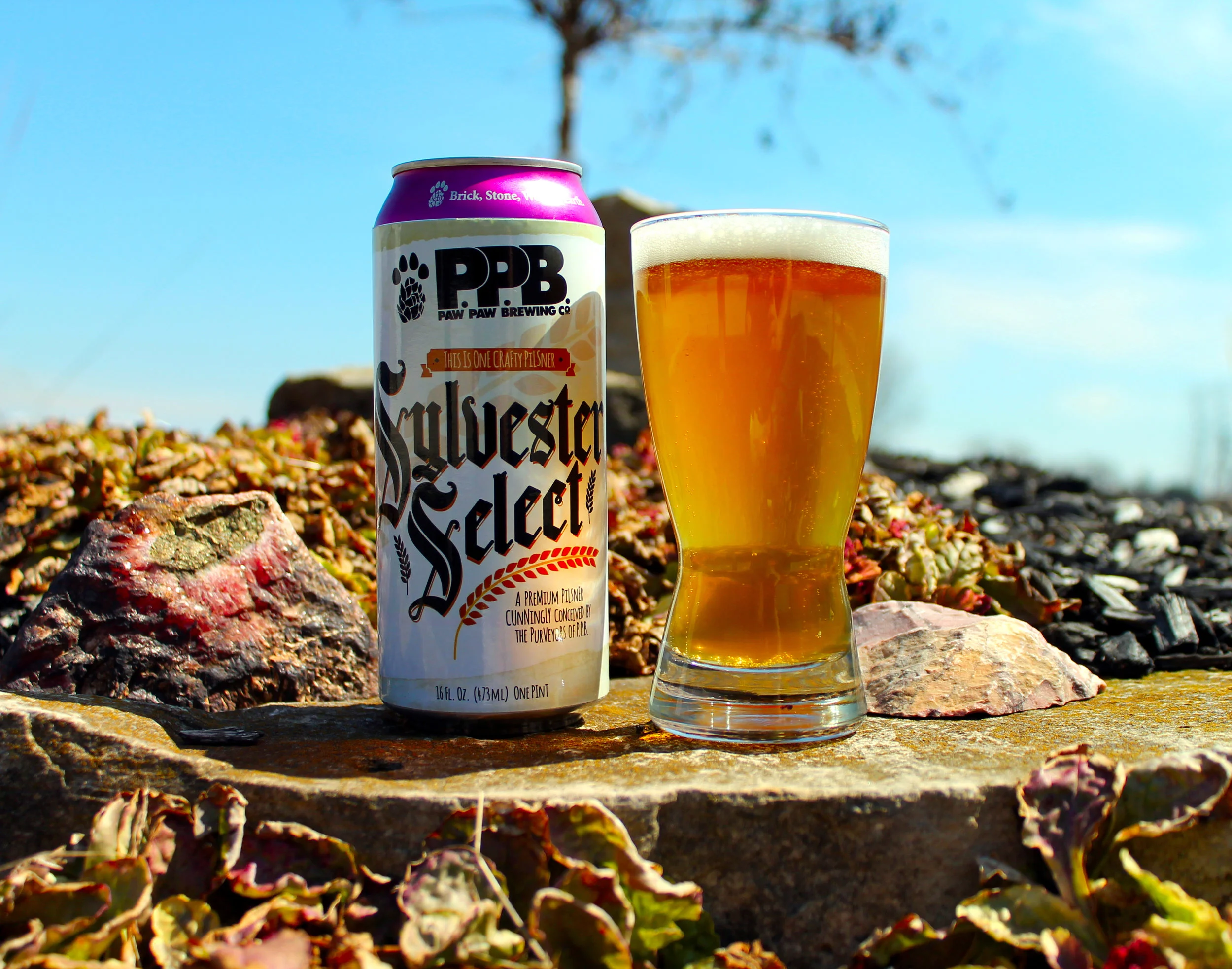 Paw Paw Brewing Company