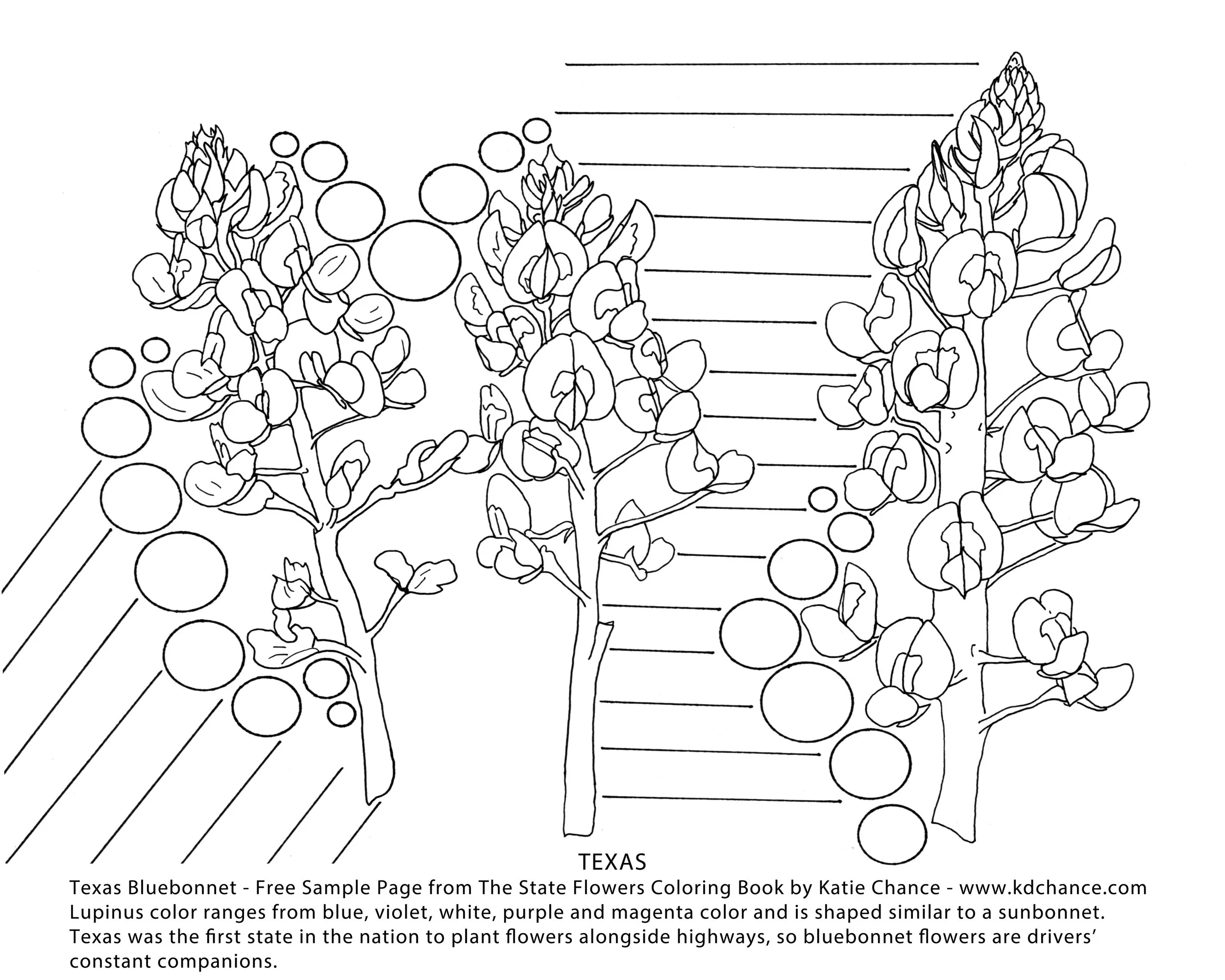 Bluebonnet Coloring Page