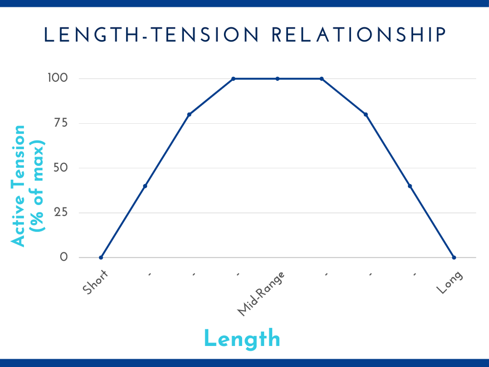 End-Range Strength Training: Does It Really Reduce Injury Risk in Yoga ...