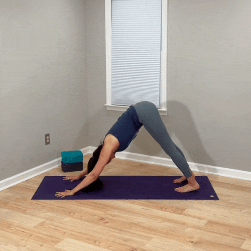 How to Prep for Backbends in Yoga — Jenni Rawlings Yoga & Movement Blog