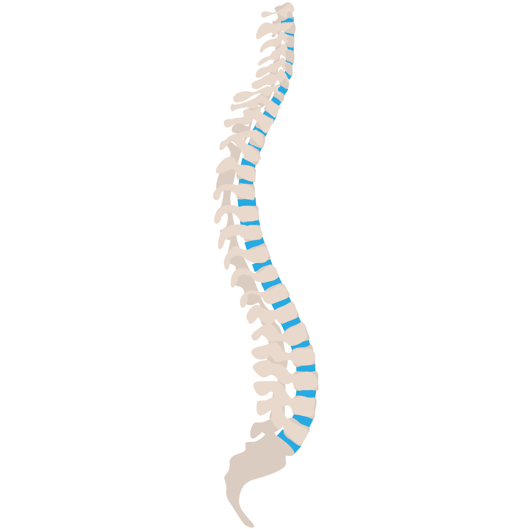 When Is a Neutral Spine Not a Neutral Spine? — Jenni Rawlings Yoga ...