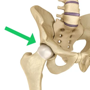 Are Closed-to-Open Hip Transitions Safe? The Definitive Guide — Jenni ...