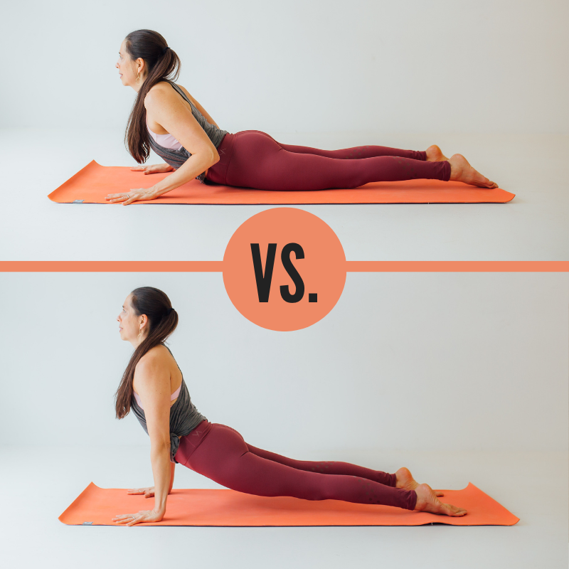 What's the Difference Between Cobra & Up Dog? — Jenni Rawlings Yoga ...