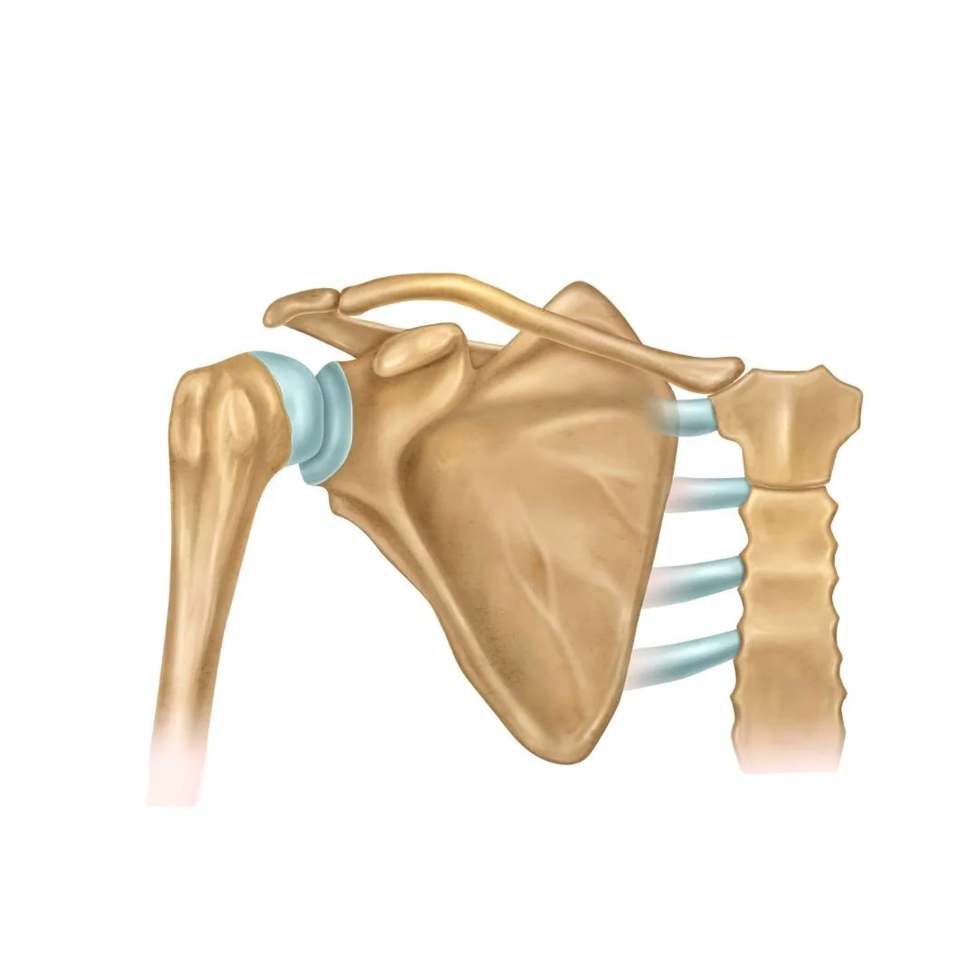 Are Closed-to-Open Hip Transitions Safe? The Definitive Guide — Jenni ...