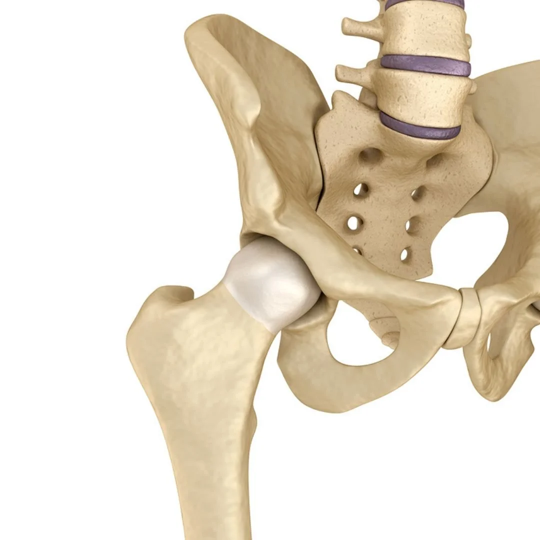 Are Closed-to-Open Hip Transitions Safe? The Definitive Guide — Jenni ...