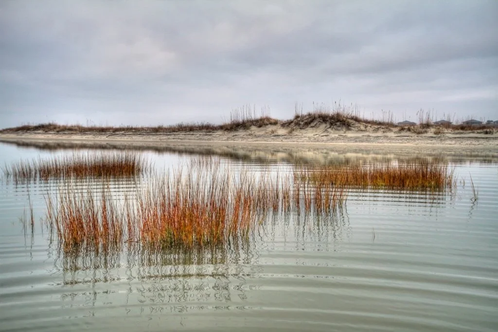 Home — Lowcountry Photo Safaris