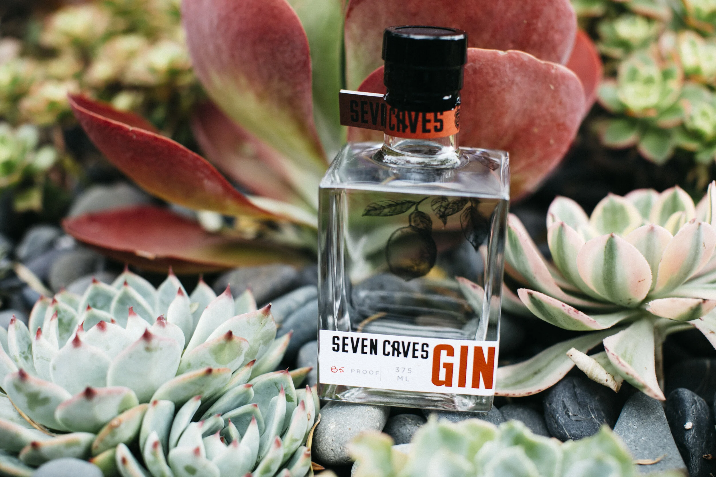 Seven Caves Gin — Seven Caves Distillery