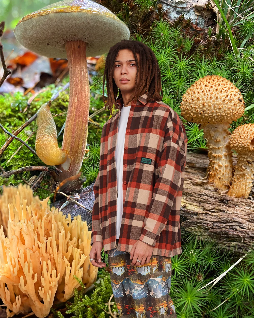 Commissions — Phyllis Ma