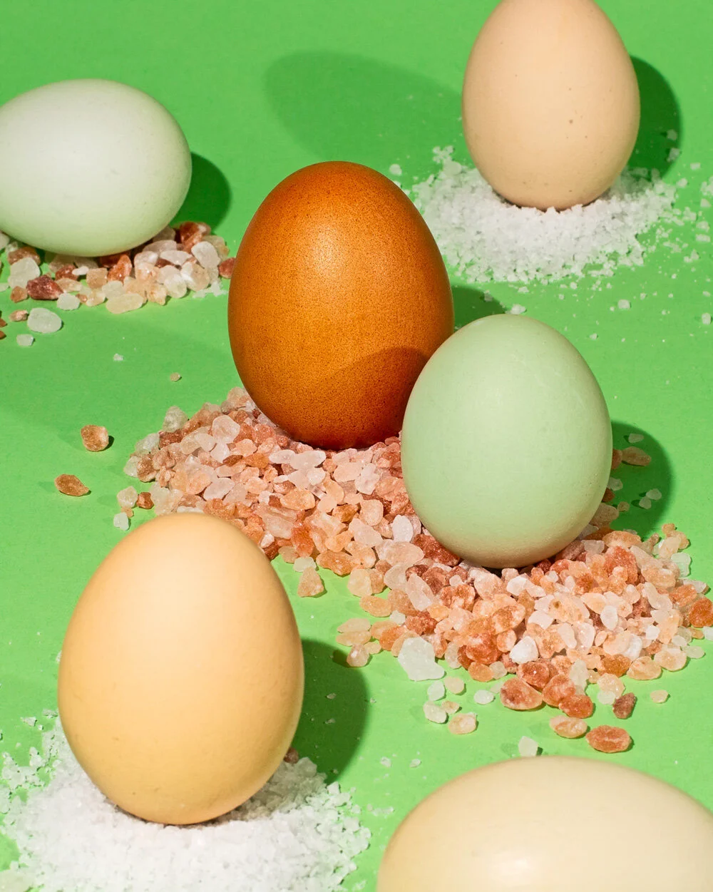 Commissions — Phyllis Ma