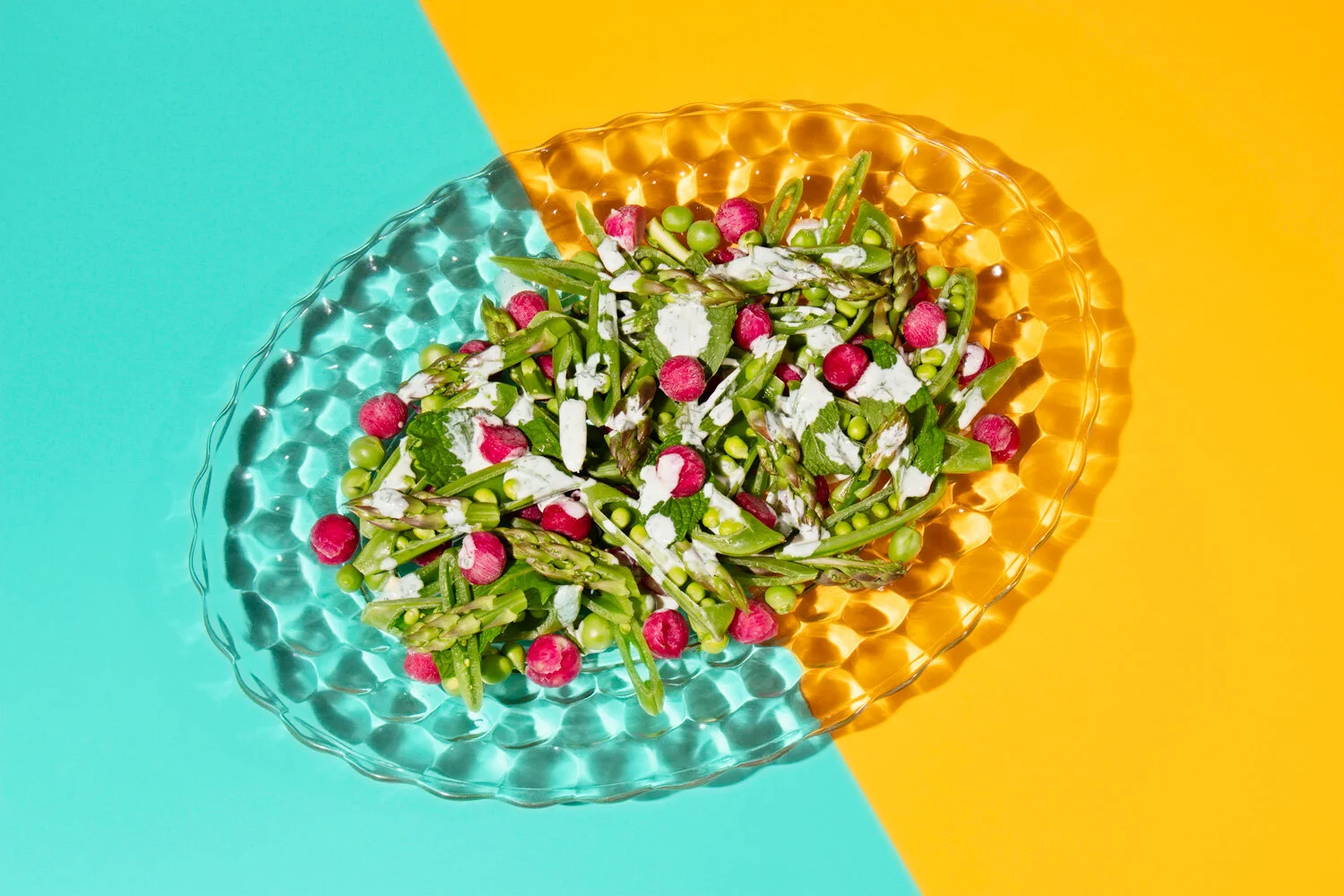 Commissions — Phyllis Ma