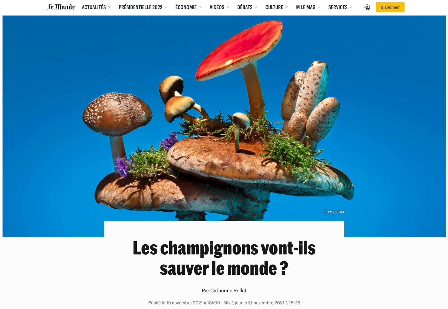 Commissions — Phyllis Ma