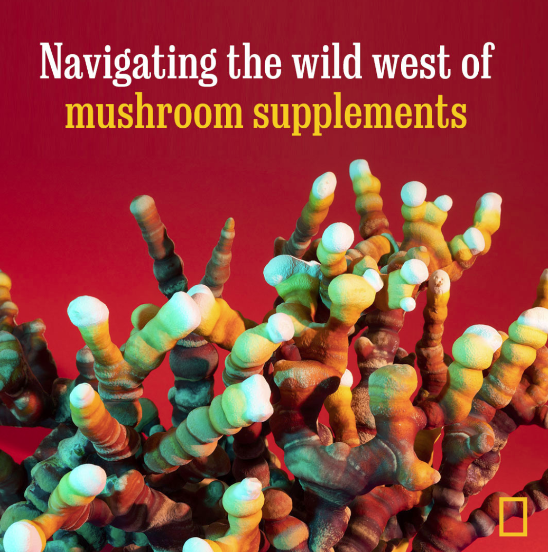 Commissions — Phyllis Ma