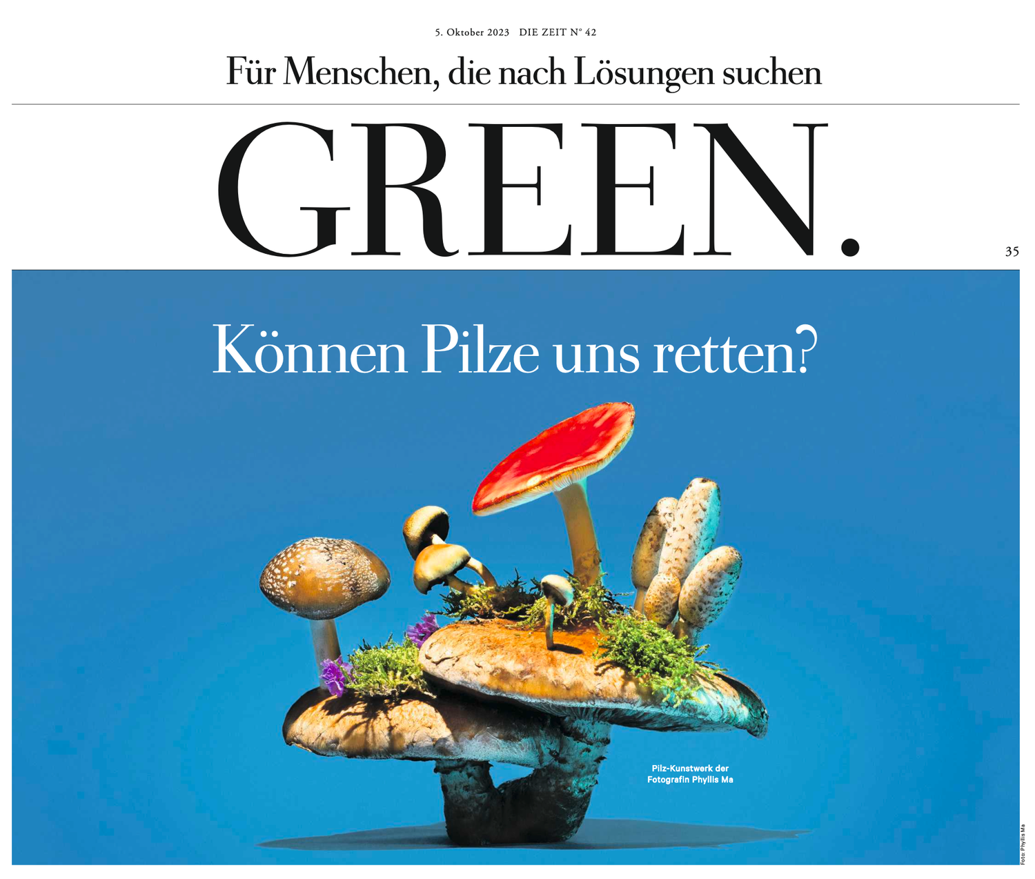 Commissions — Phyllis Ma