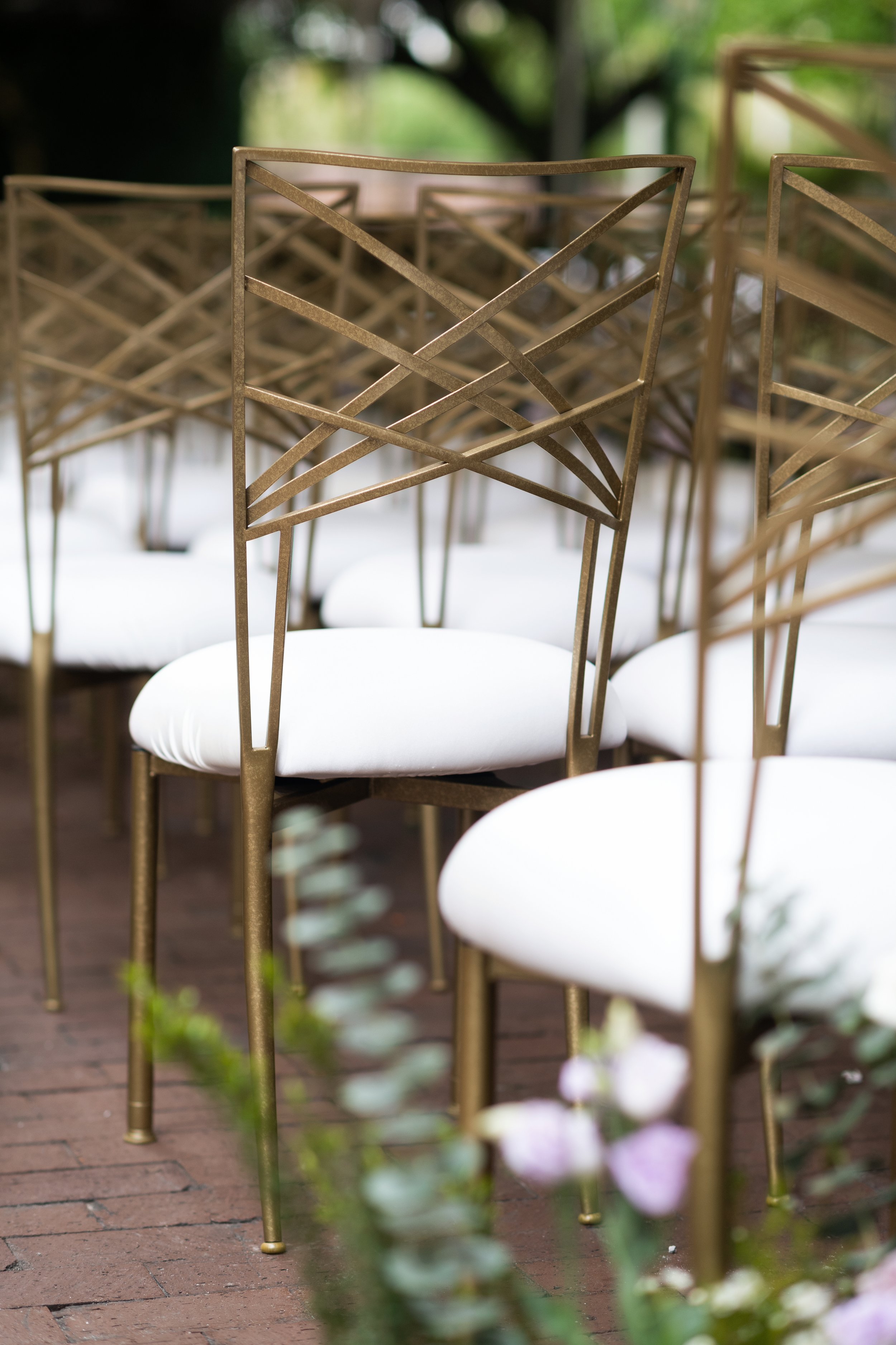 Chameleon Chairs