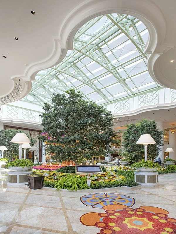 Skylights: Super Sky — PGP