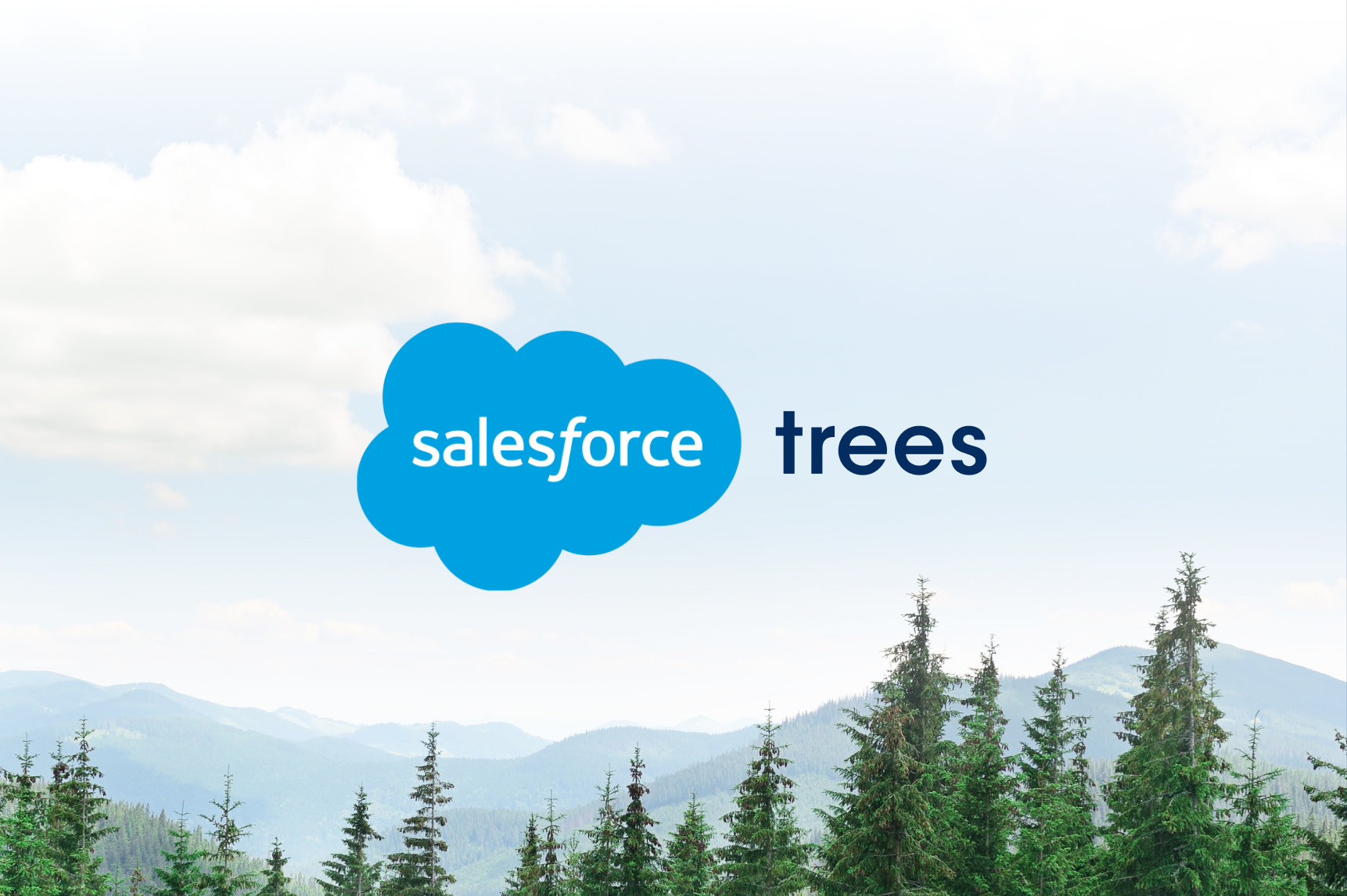 Salesforce Trees — Amy Kosloske