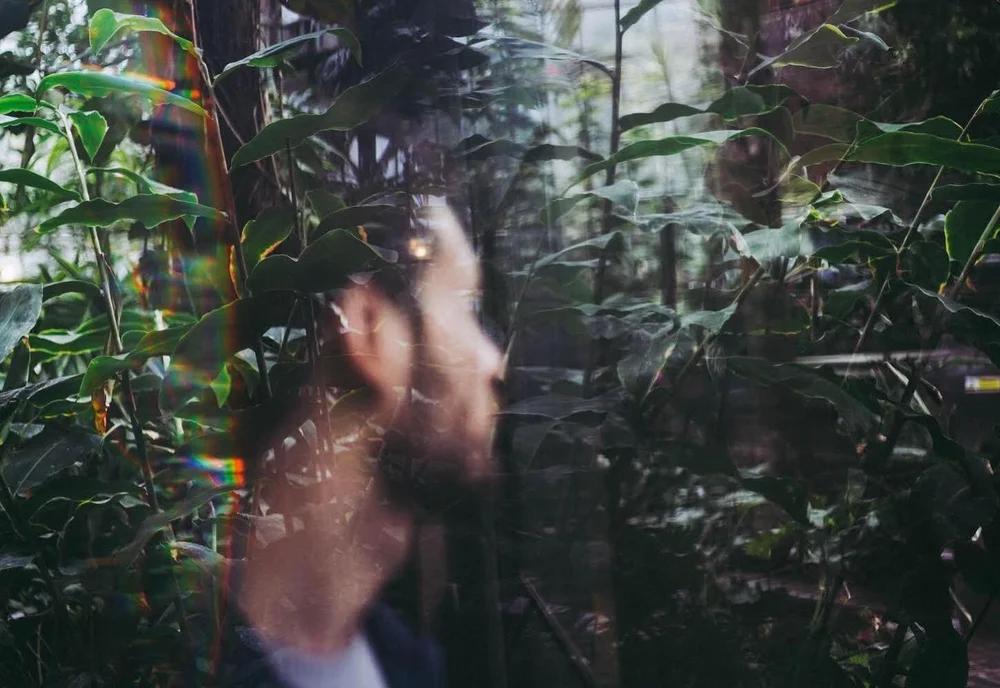 Rob Clouth — Fractaltribe