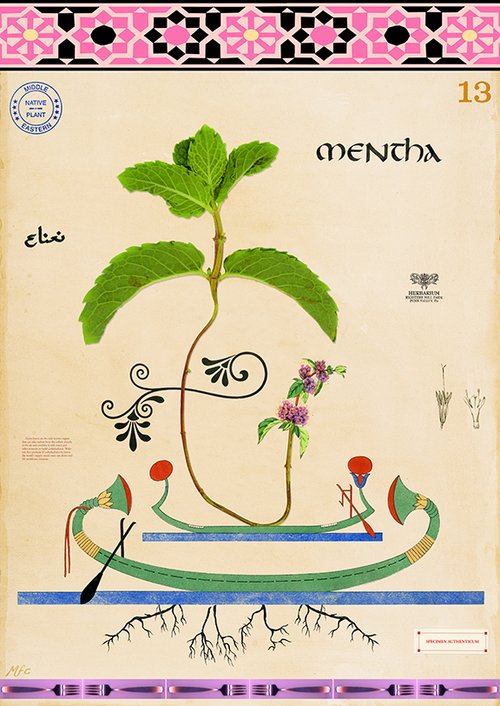 FIGURES, FISH, ETC — MF CARDAMONE