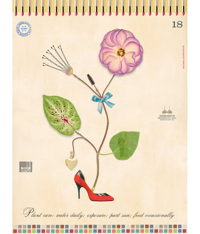 LIMITED EDITIONS — M.F. CARDAMONE