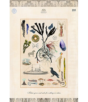 LIMITED EDITIONS — M.F. CARDAMONE