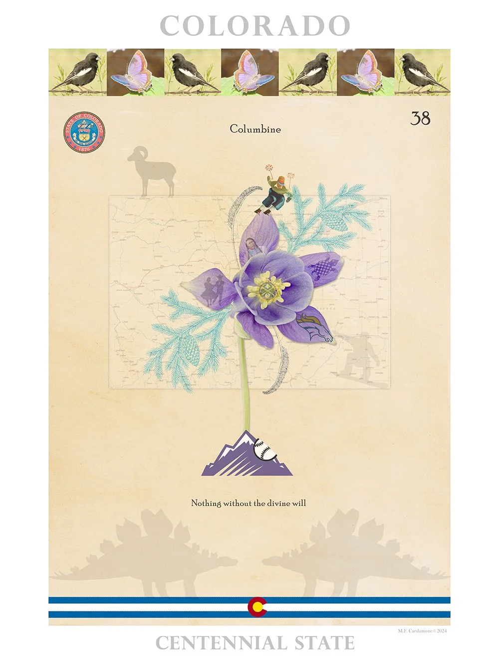 States & Symbols — MF CARDAMONE