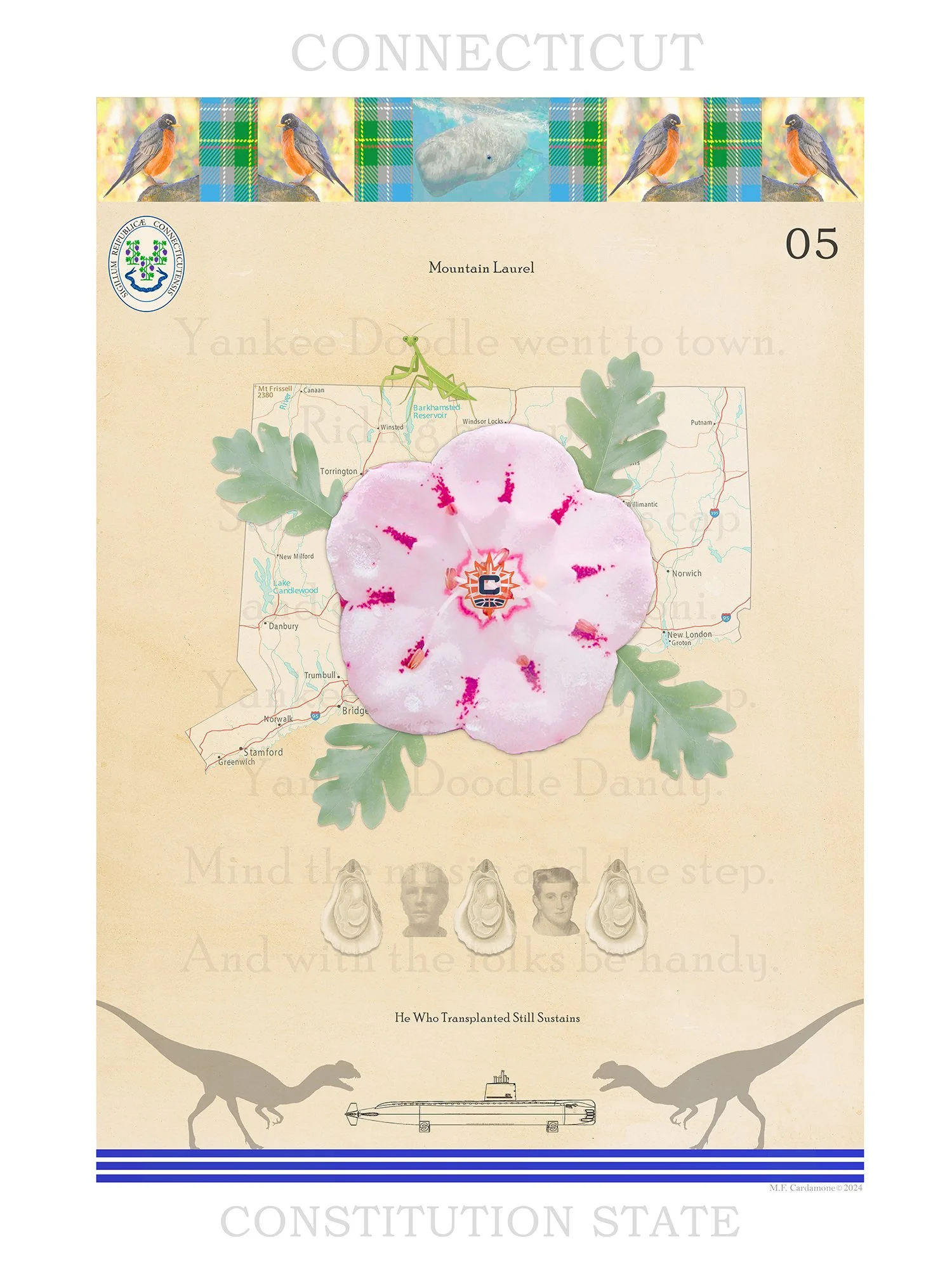 States & Symbols — MF CARDAMONE
