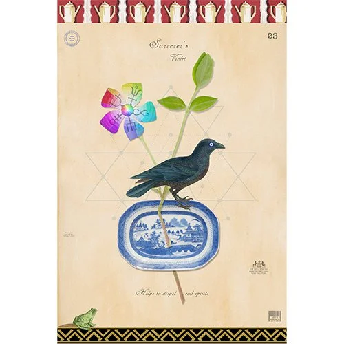 LIMITED EDITIONS — M.F. CARDAMONE
