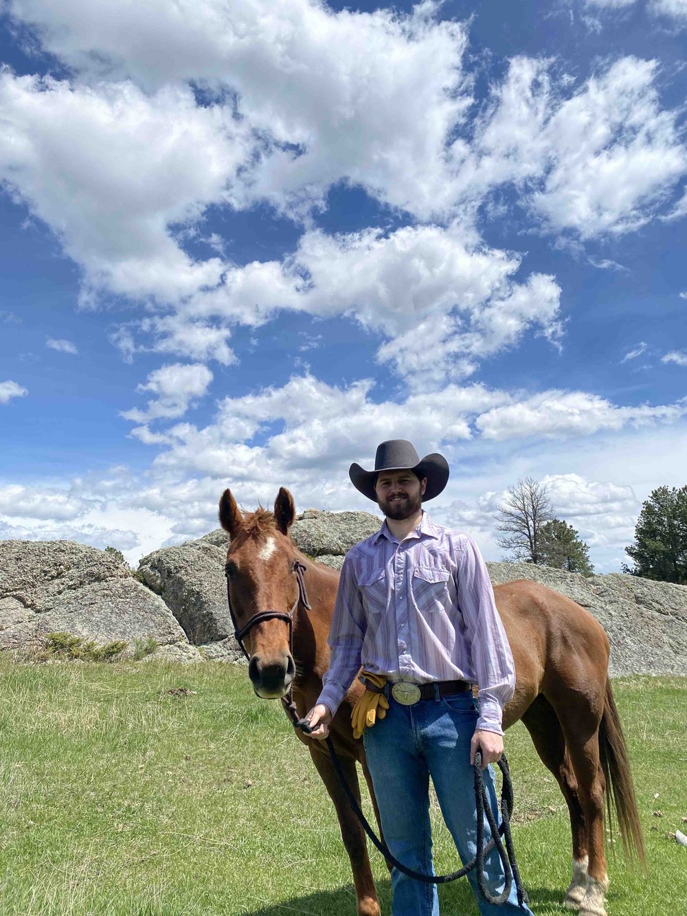 Hollingsworth Horses