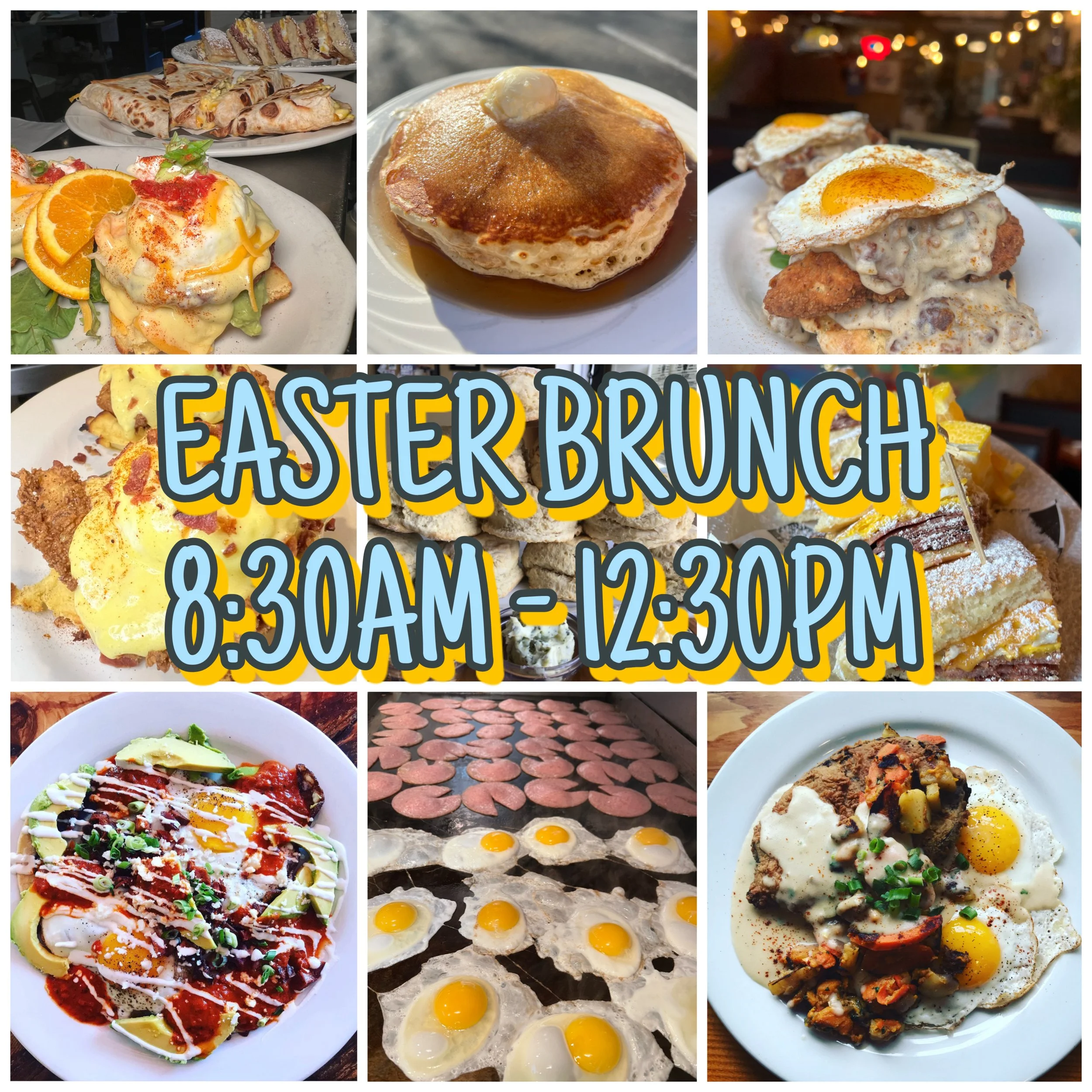 Welcome — Shore Points