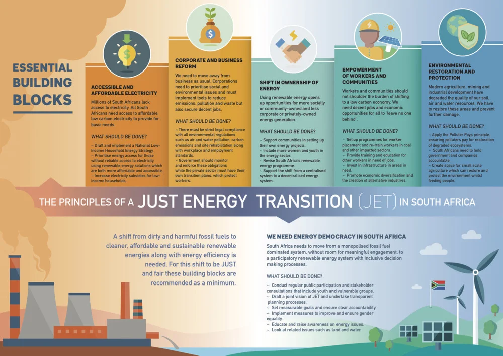 South African eco-organisations to watch — and actively support — Treeshake