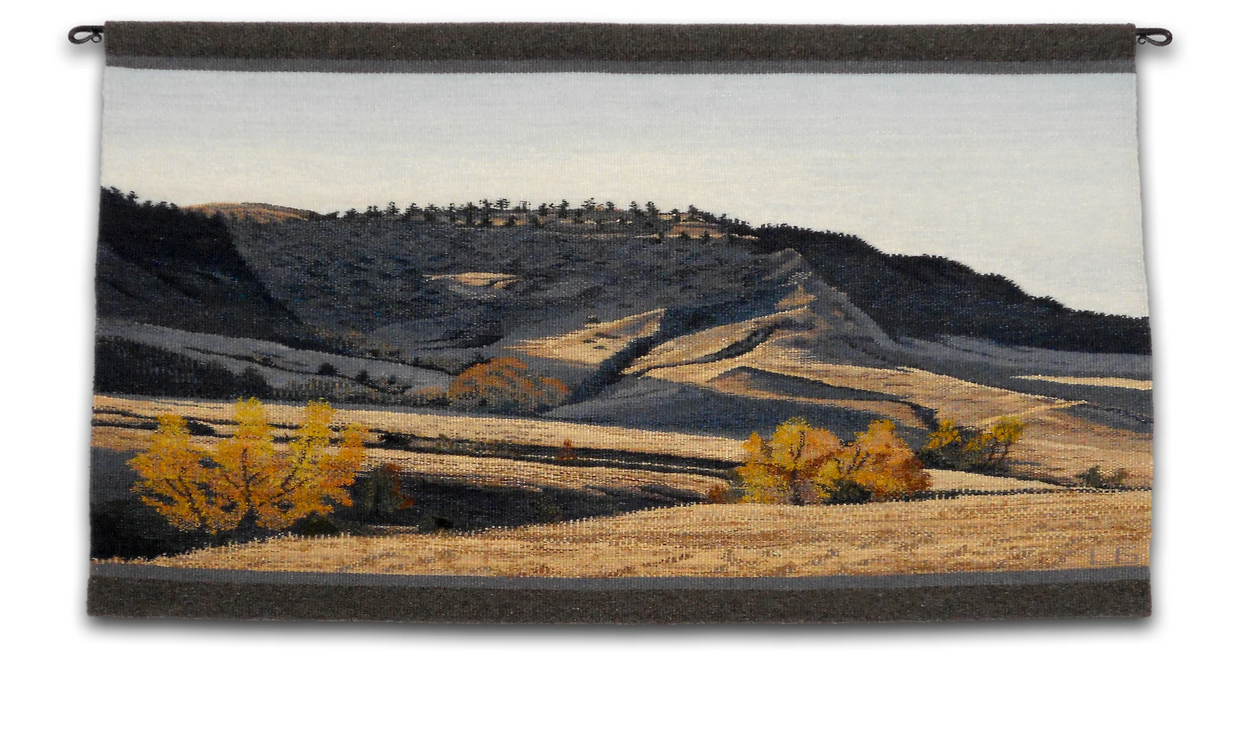 Portfolio: New Tapestries — Landscape Tapestry