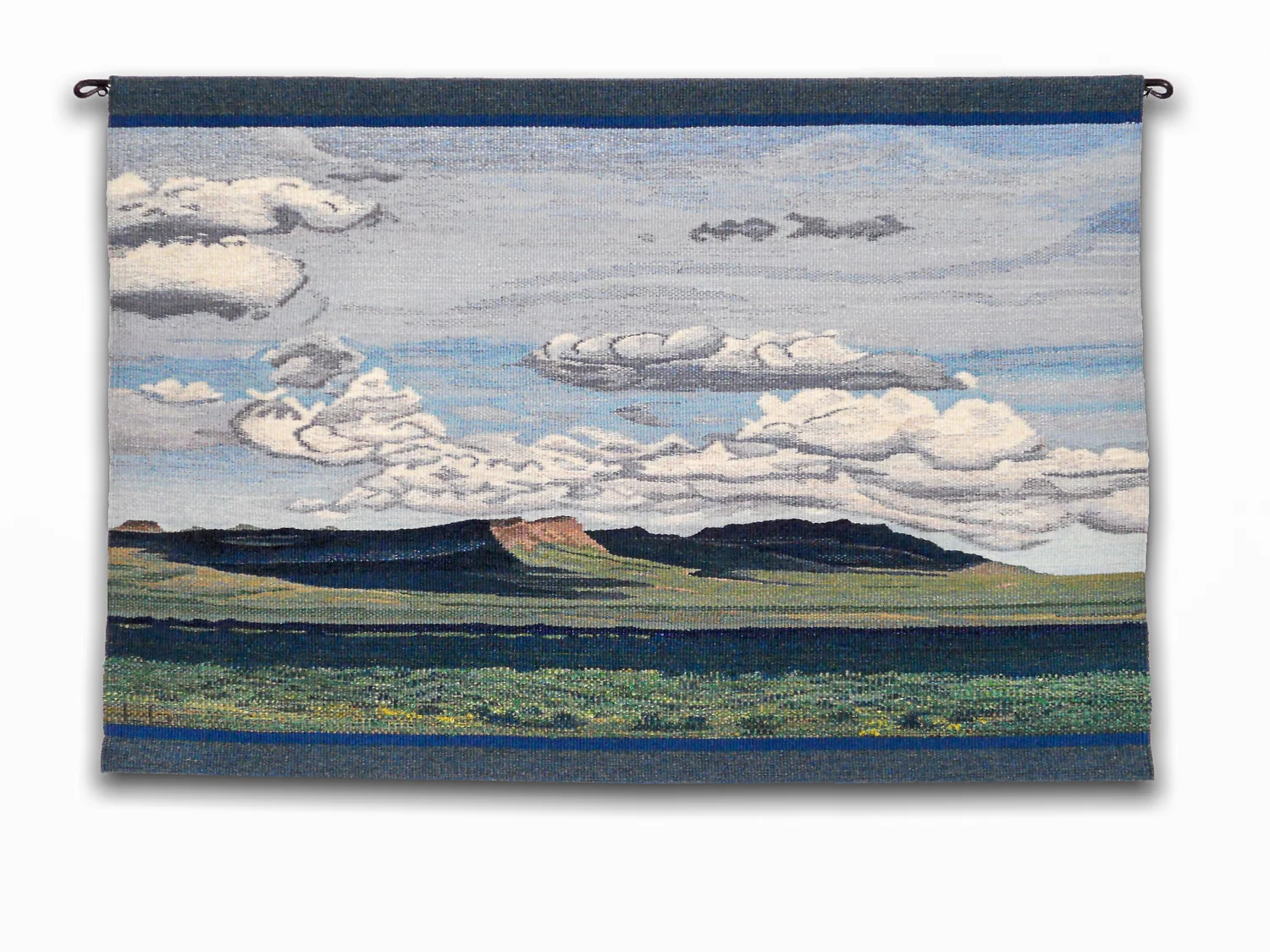 Portfolio: New Tapestries — Landscape Tapestry