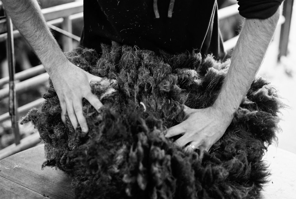 The Wool List — Solidwool