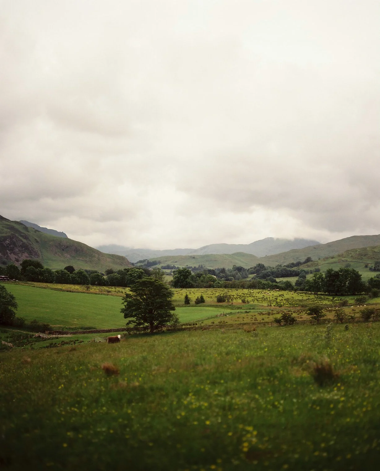 A New Way of Working With Wool — Solidwool