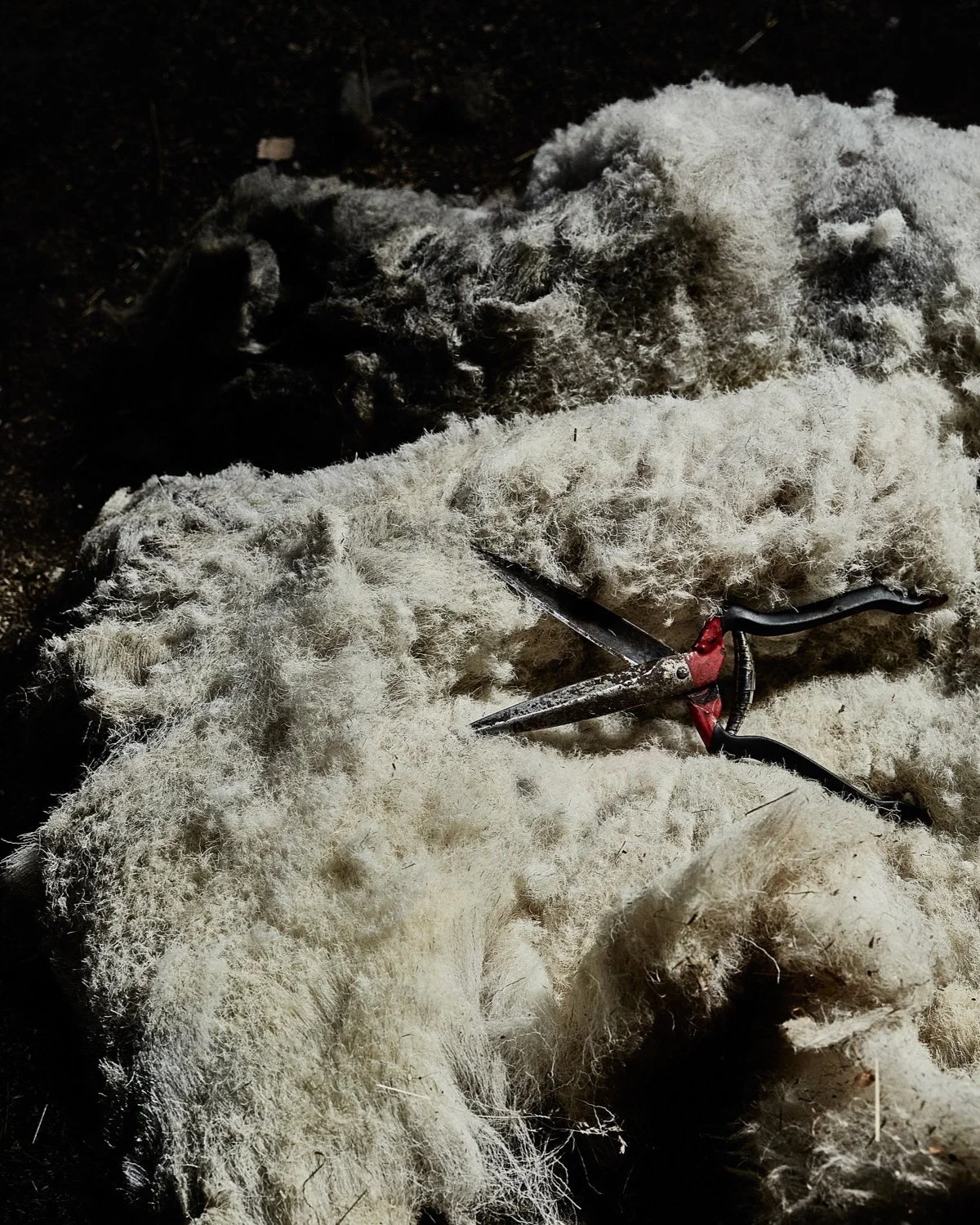 A New Way of Working With Wool — Solidwool