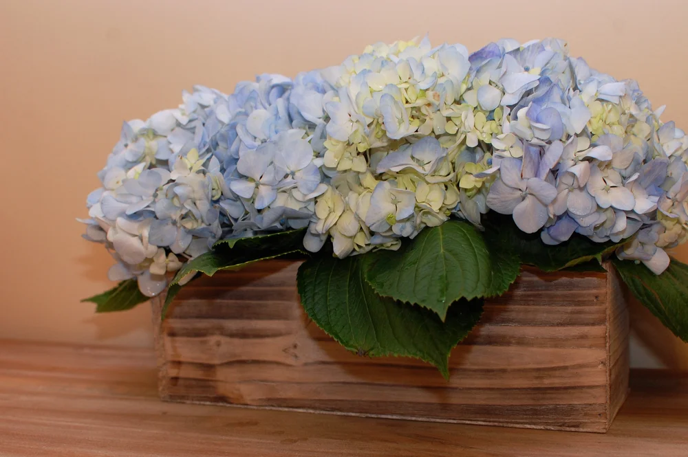 Rustic Hydrangea Centerpieces