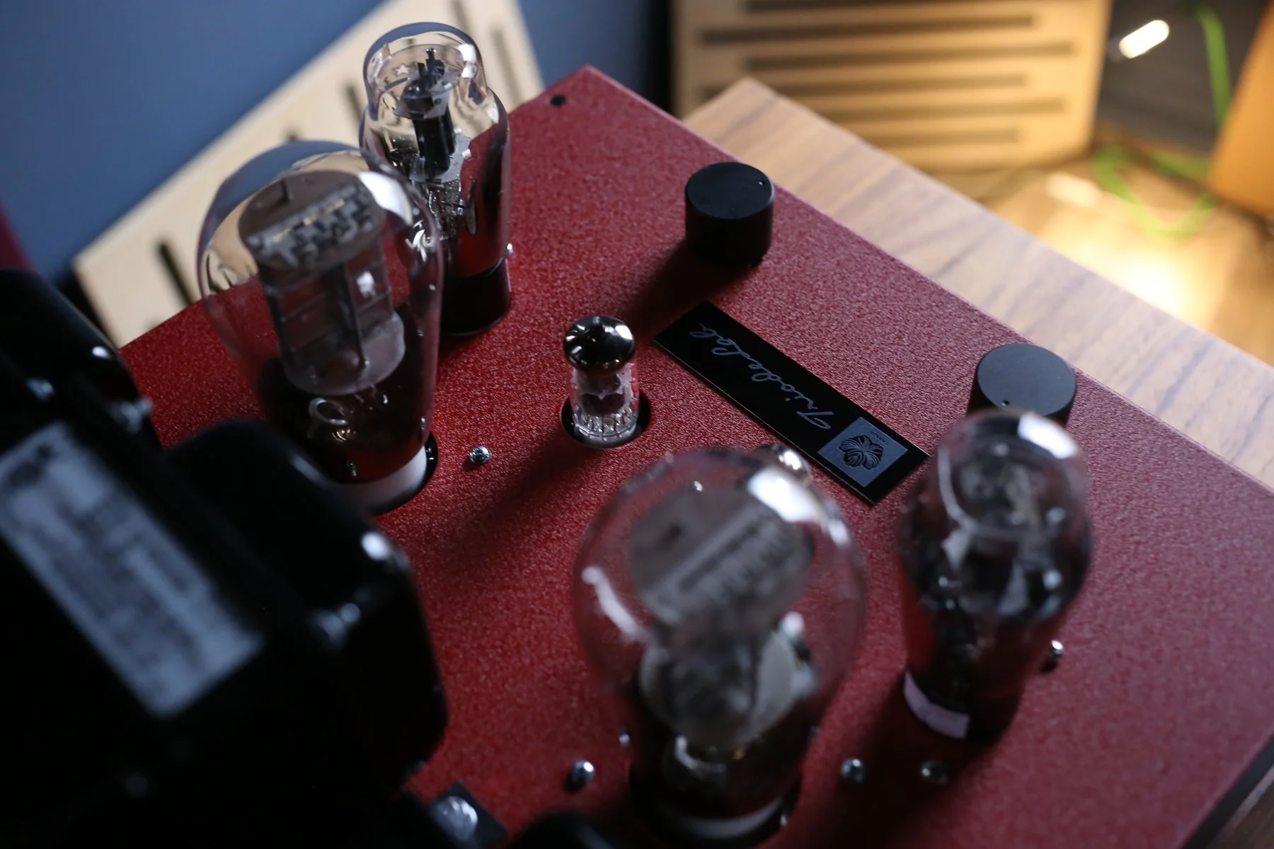EVO AM Integrated — TRIODE LAB