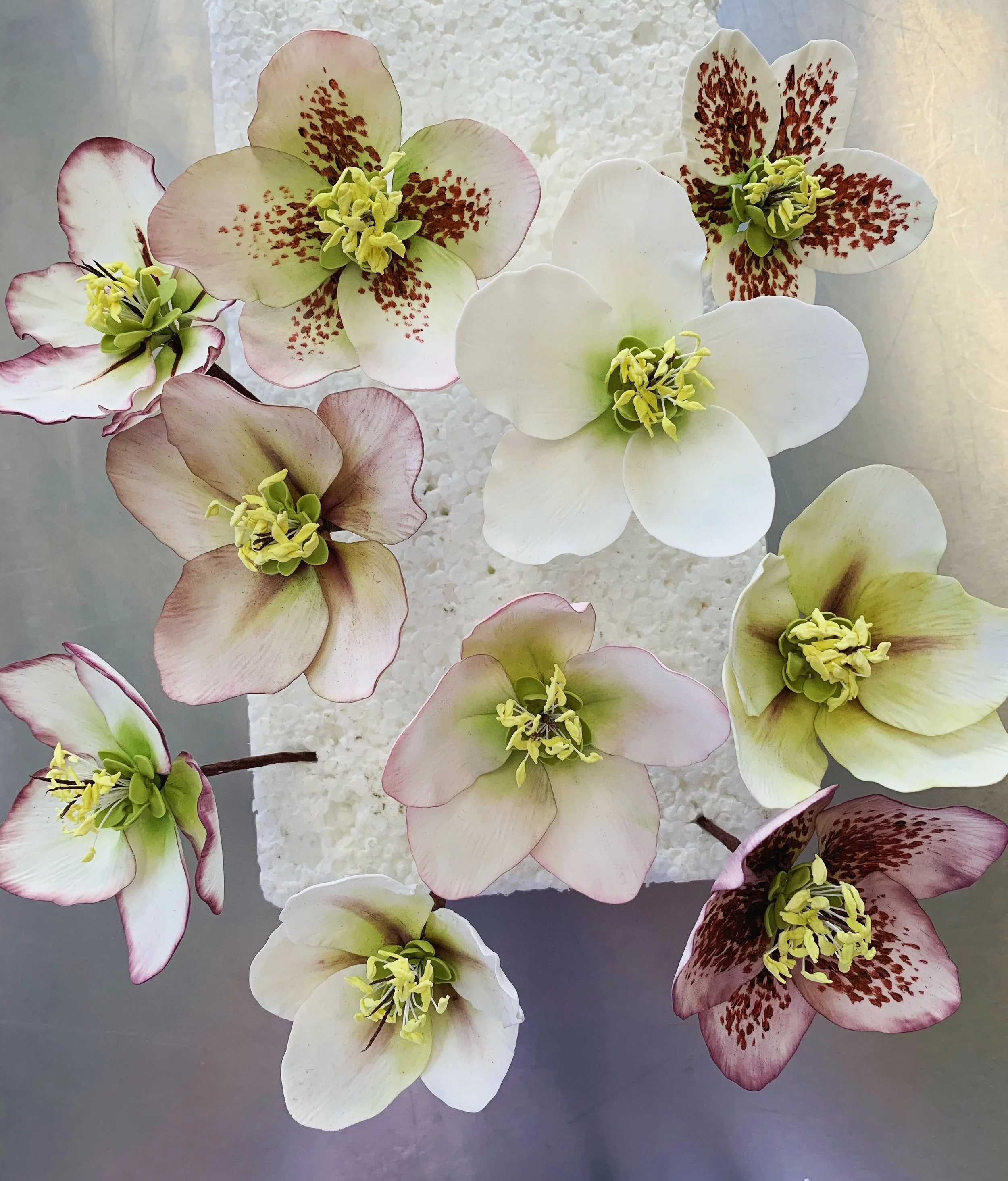 Sugar Flowers — Honey Crumb Cake Studio | Seattle Bakery | Custom Cakes ...